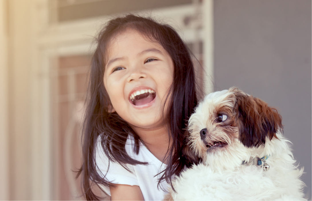 05 GoodHeart Save the Pets - Concern to Community Engagement